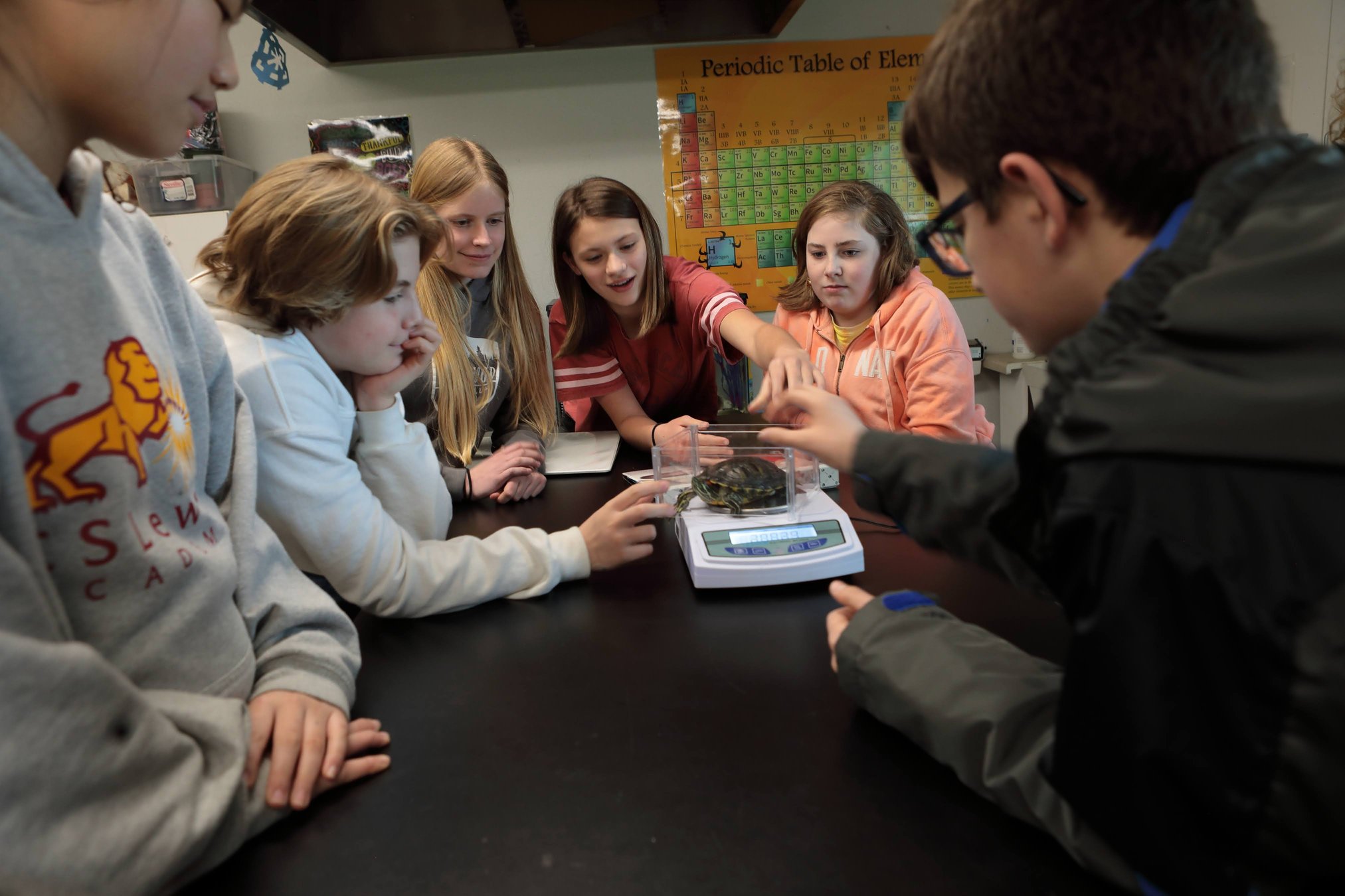 C.S. Lewis Academy | Best Middle School in Oregon